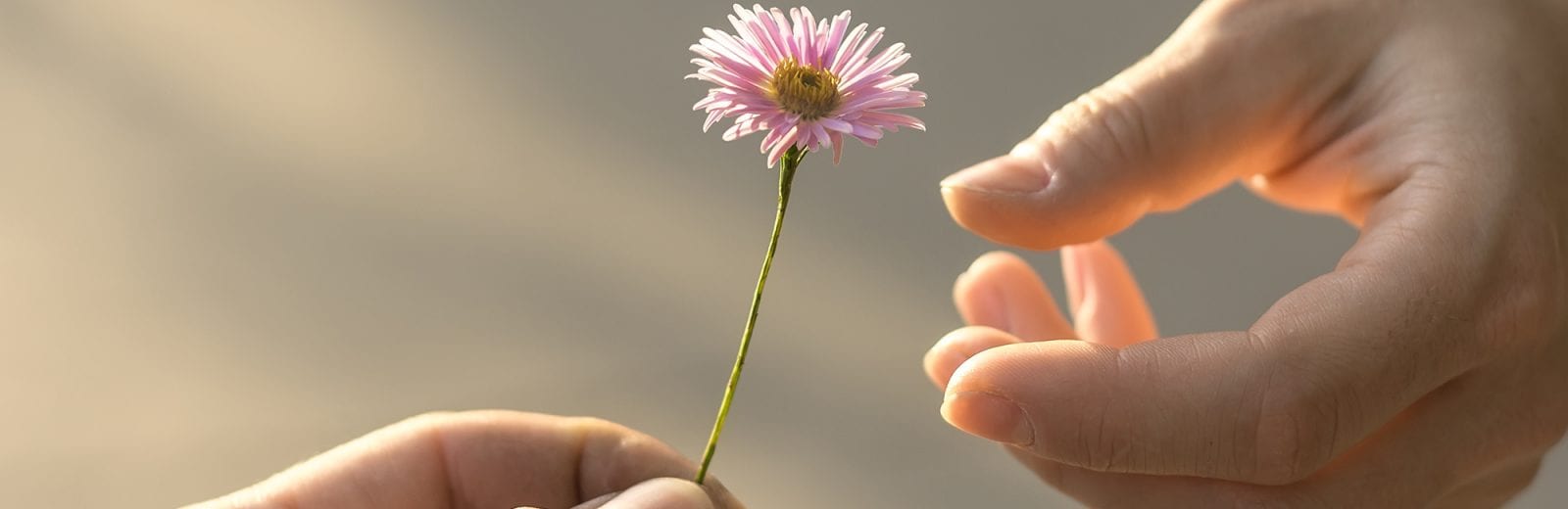 Homeless Emergency Response Hotline | The Gateway Family YMCA